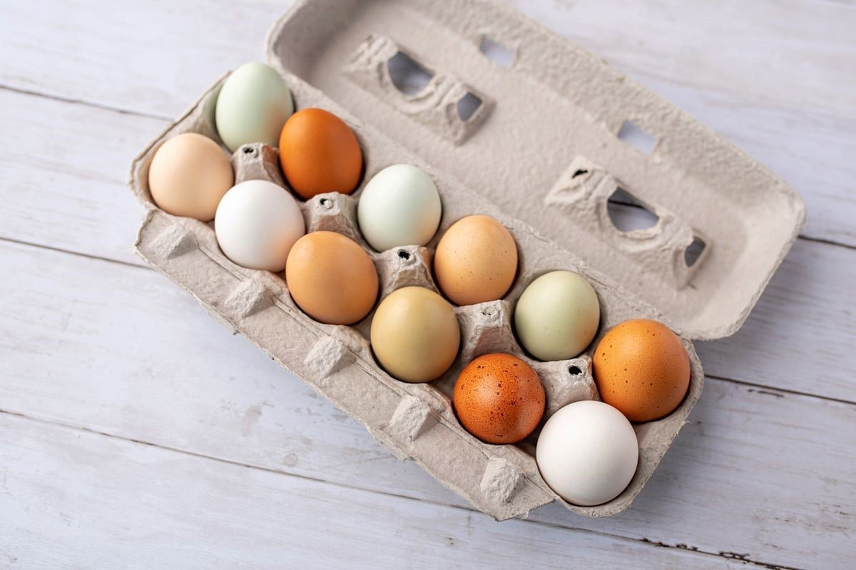 Alimentar con huevos a temprana edad puede reducir el riesgo de ...